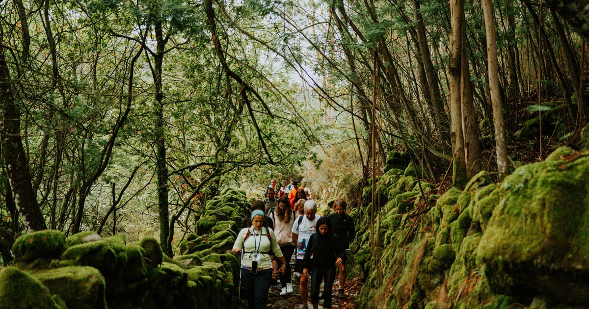 Festival de Caminhadas da Serra da Lousã | Agenda | Aldeias do Xisto