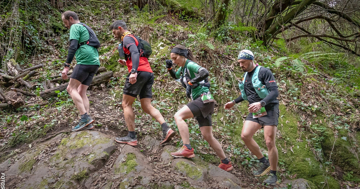 Trilhos dos Abutres 2024 | Agenda | Aldeias do Xisto