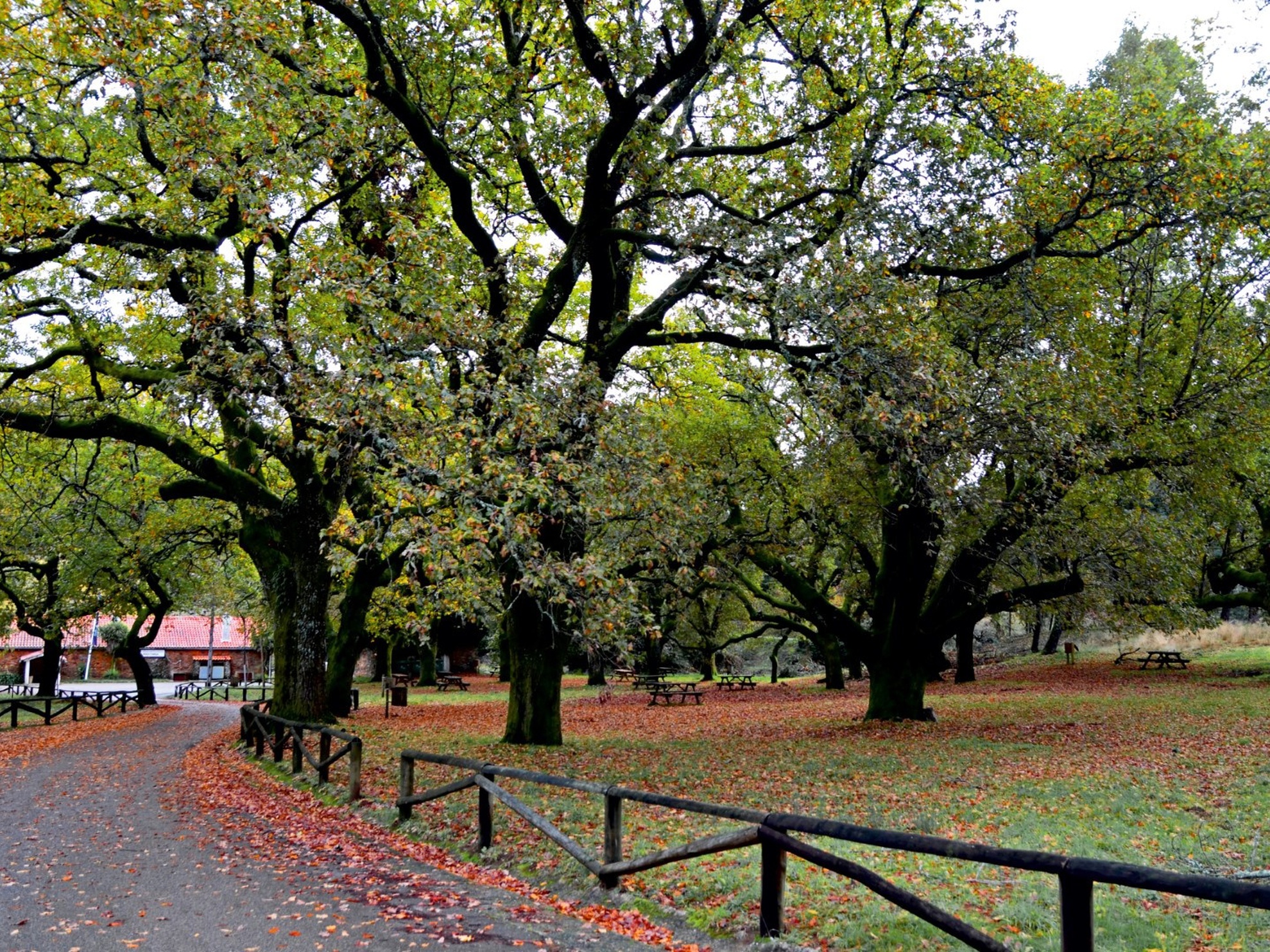 Poço Corga River Beach | Xistopedia | Aldeias do Xisto